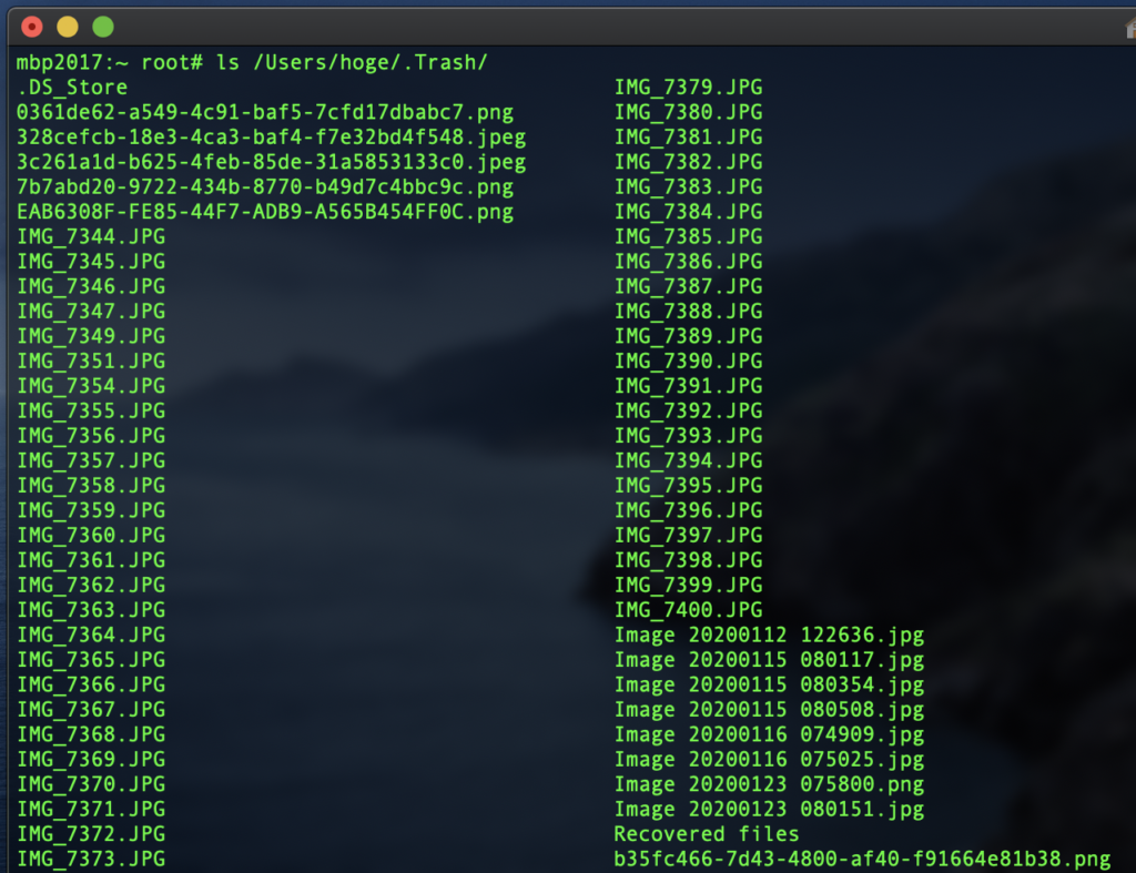 Macのターミナルで「Operation not permitted」権限エラー発生時の対処法 | あいしんくいっと